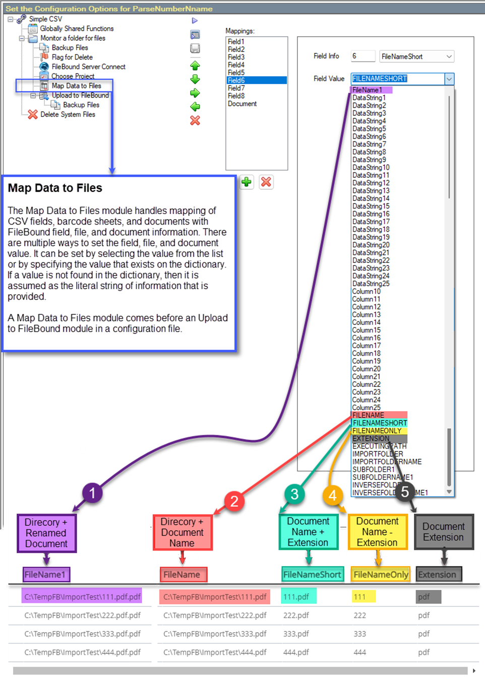 Importer Pro - Map Data to Files Module Field Values detail