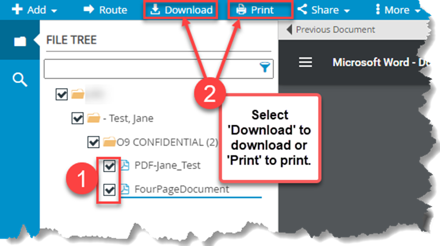 Download Or Print Multiple Documents At Once